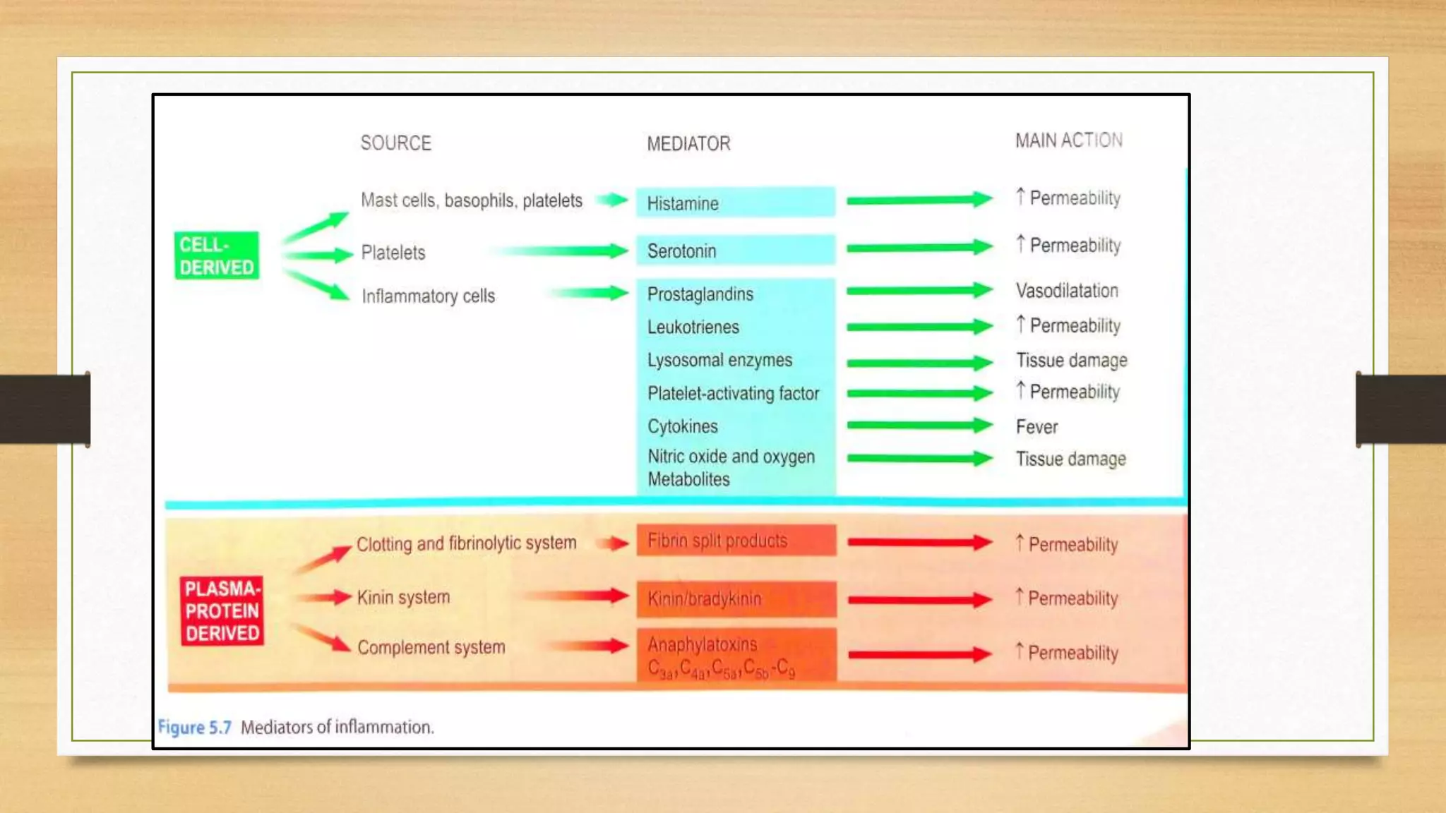 Cellular and Biochemical mediators of Inflammation and Immune.pptx