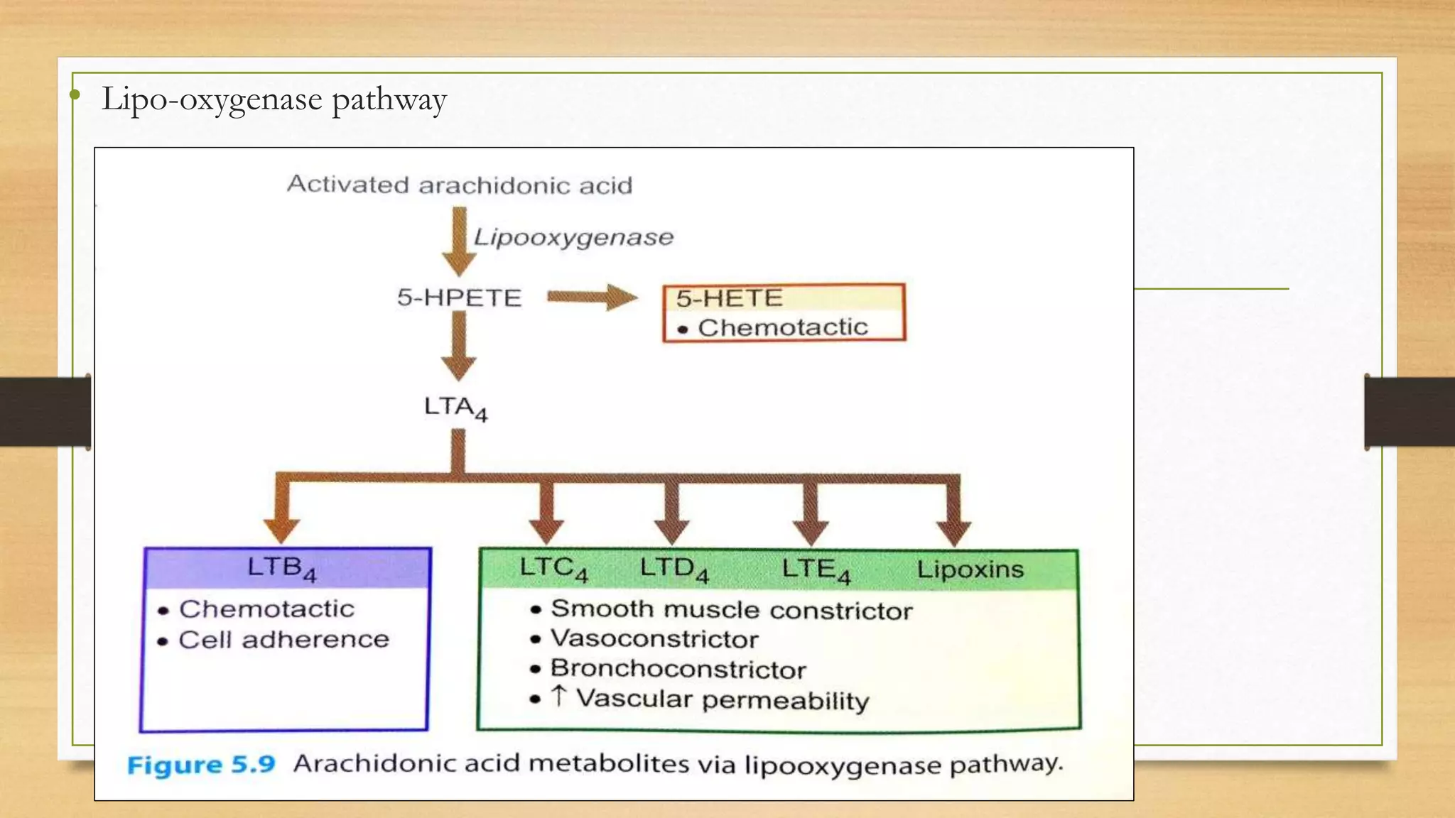 Cellular and Biochemical mediators of Inflammation and Immune.pptx