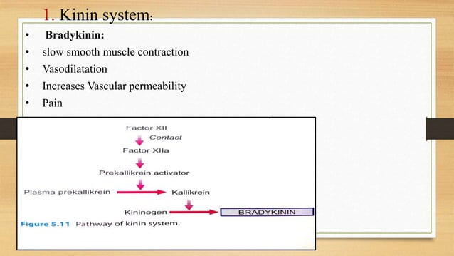 Cellular and Biochemical mediators of Inflammation and Immune.pptx | Blood Disorders | Diseases ...