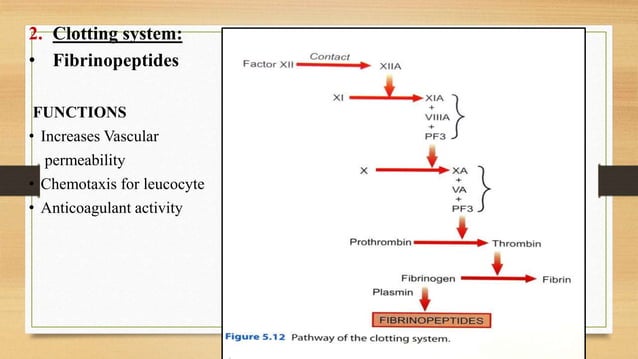 Cellular and Biochemical mediators of Inflammation and Immune.pptx ...