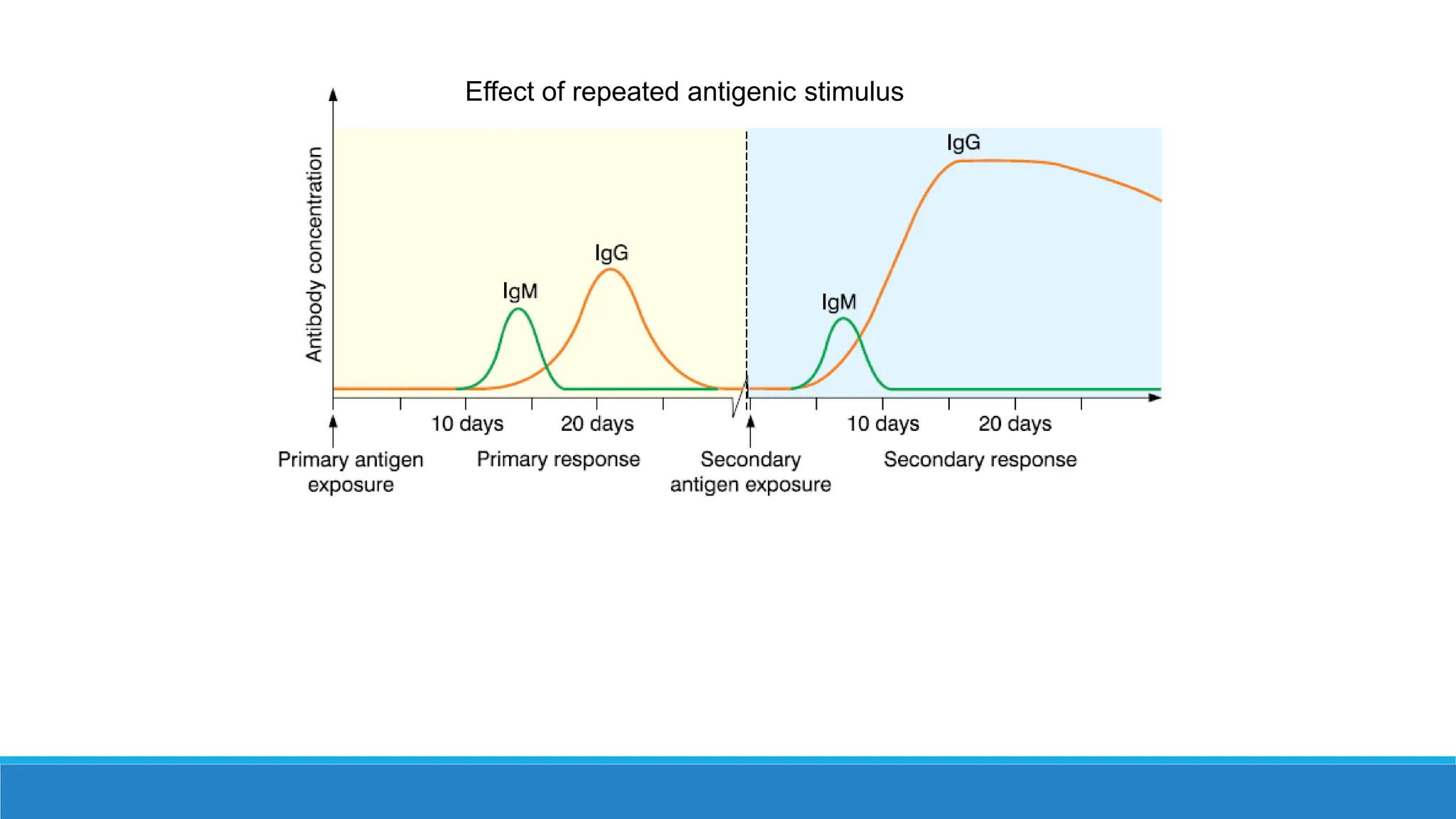 cellular and humoral components of immune System.vinu.pptx