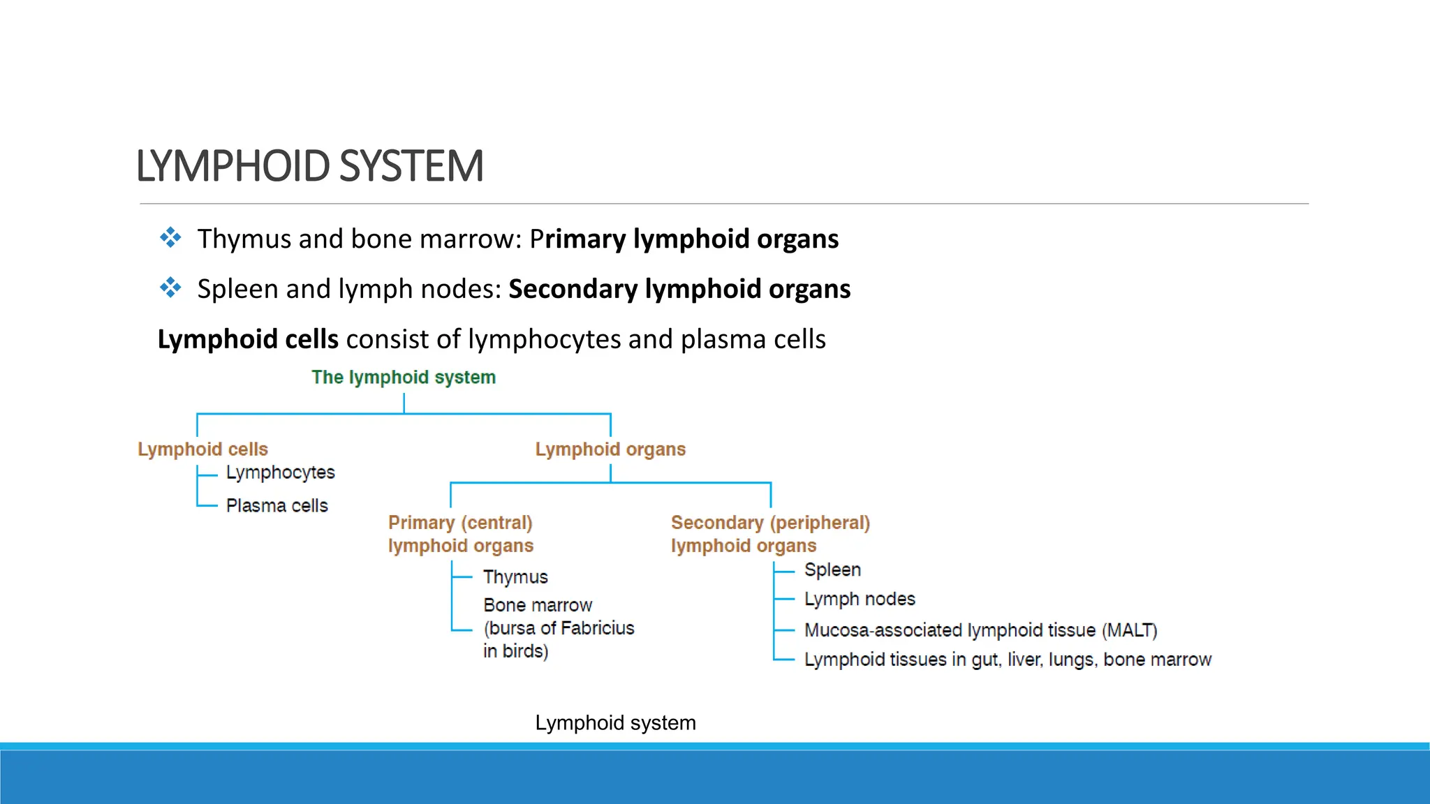 cellular and humoral components of immune System.vinu.pptx