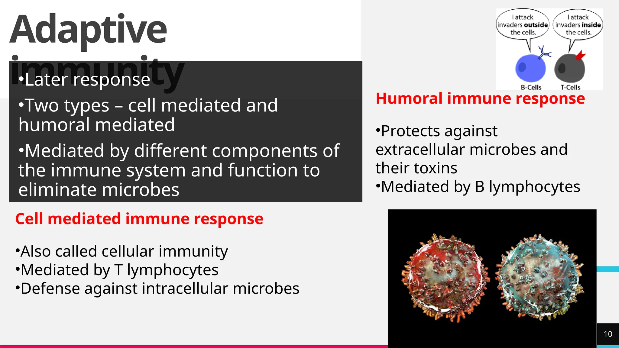 Cellular and Humoral Immunity original.pptx