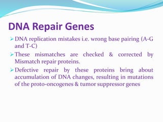 Cellular and molecular basis pathogenesis of cancer | PPTX