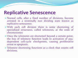 Cellular and molecular basis pathogenesis of cancer | PPTX