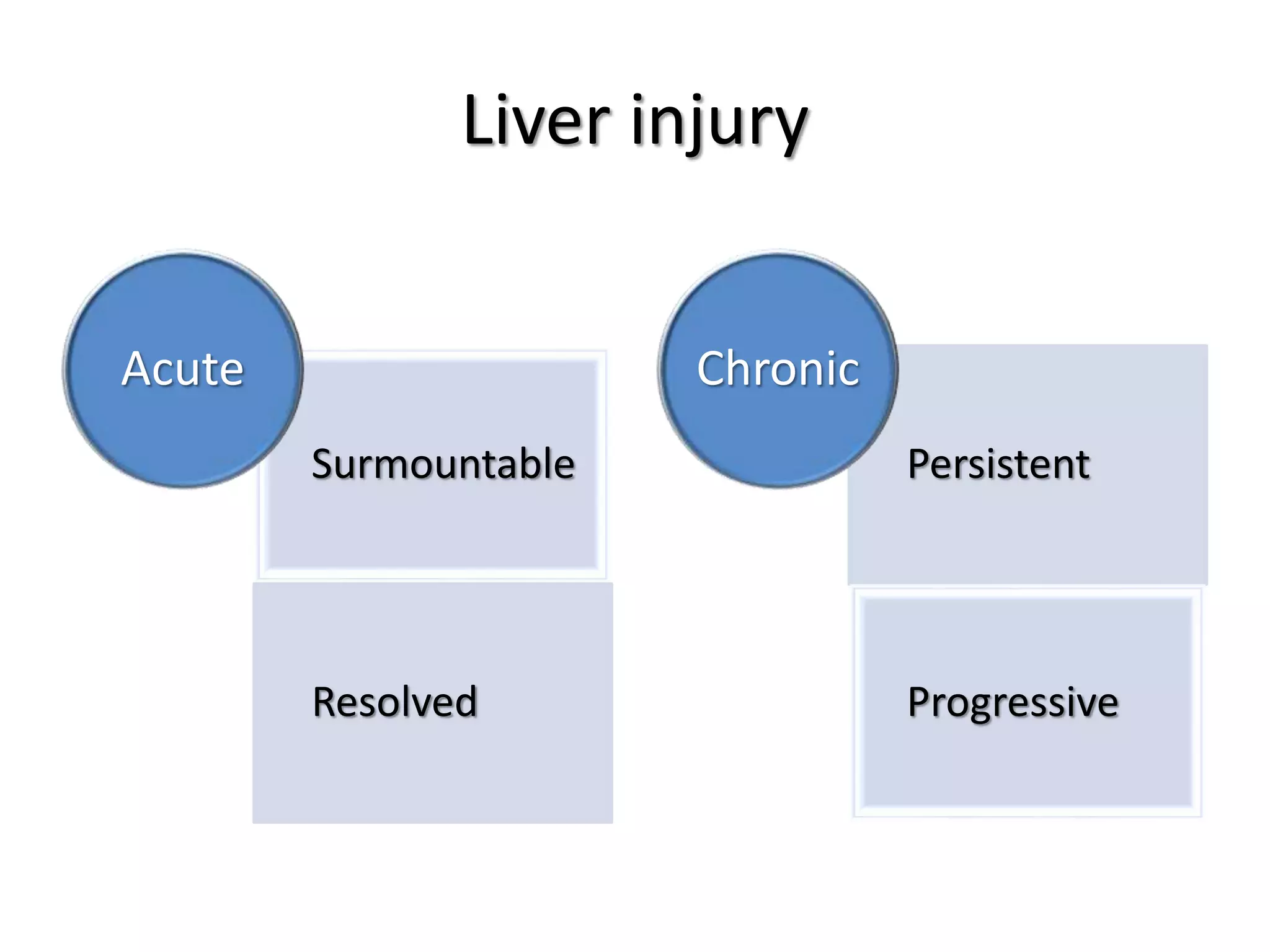 Cellular and molecular mechanisms of liver injury | PPTX