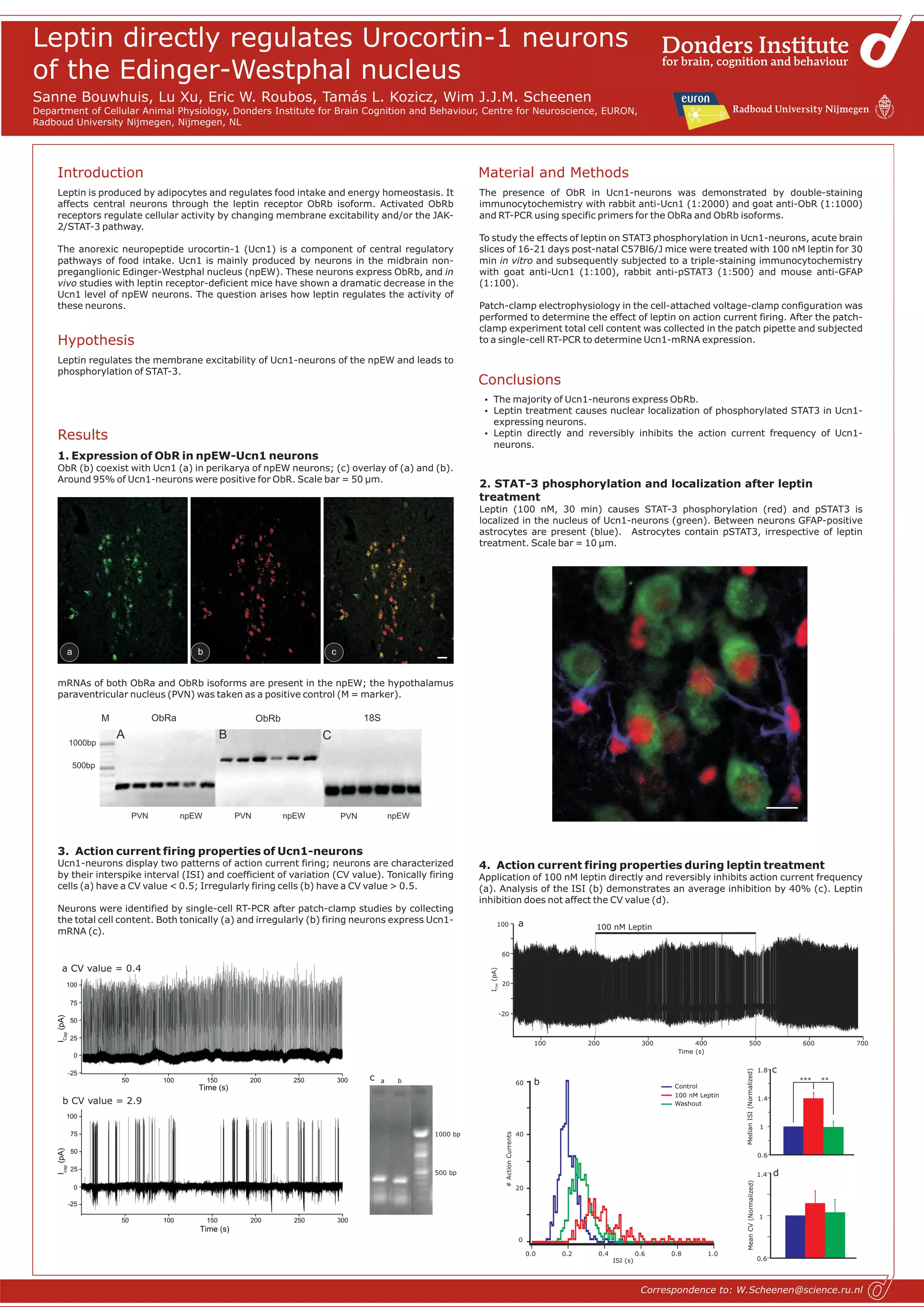 Poster presentation EURON congres 2009 Sanne Bouwhuis | PDF