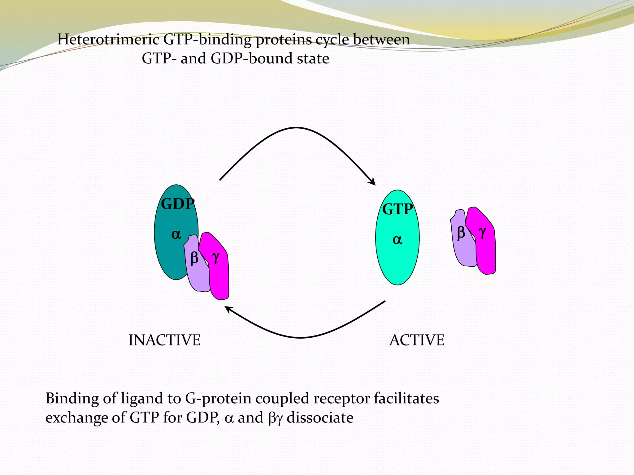 Cellular aspects of molecular pharmacology | PPTX