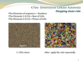 Cellular automata | PPT