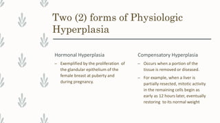 Bio 134 Pathology: Cellular basis of disease | PDF