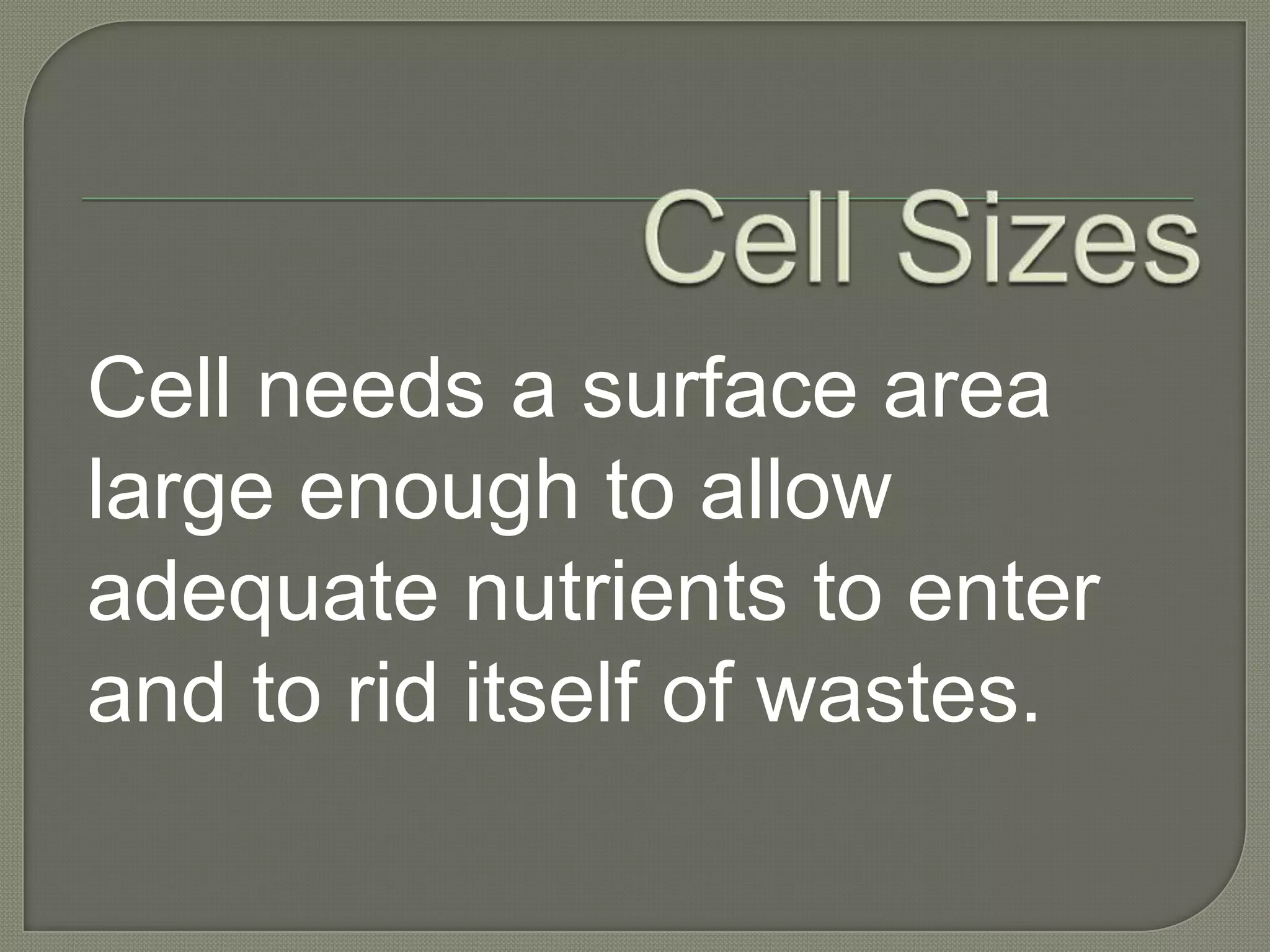 Cellular Basis Of Life | PPTX