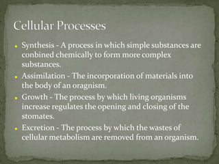 Cellular basis of life | PPTX