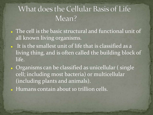 Cellular basis of life | PPTX | Biological Sciences | Science