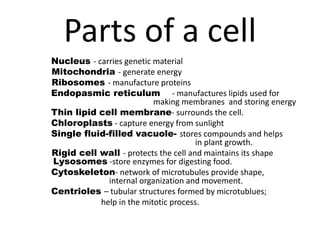 CELLULAR BASIS OF LIFE.pptx