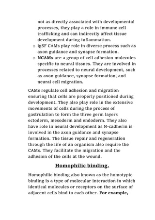 cellular basis of morphogenesis.docx