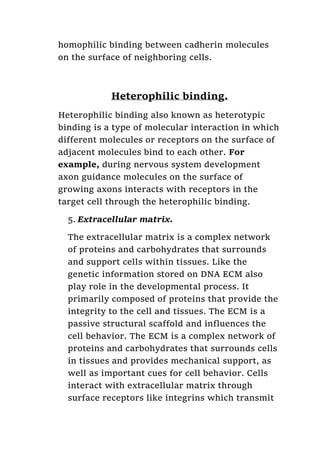 cellular basis of morphogenesis.docx