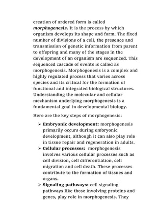 cellular basis of morphogenesis.docx | Biological Sciences | Science