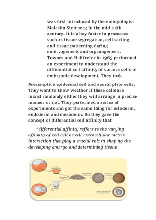 cellular basis of morphogenesis.docx
