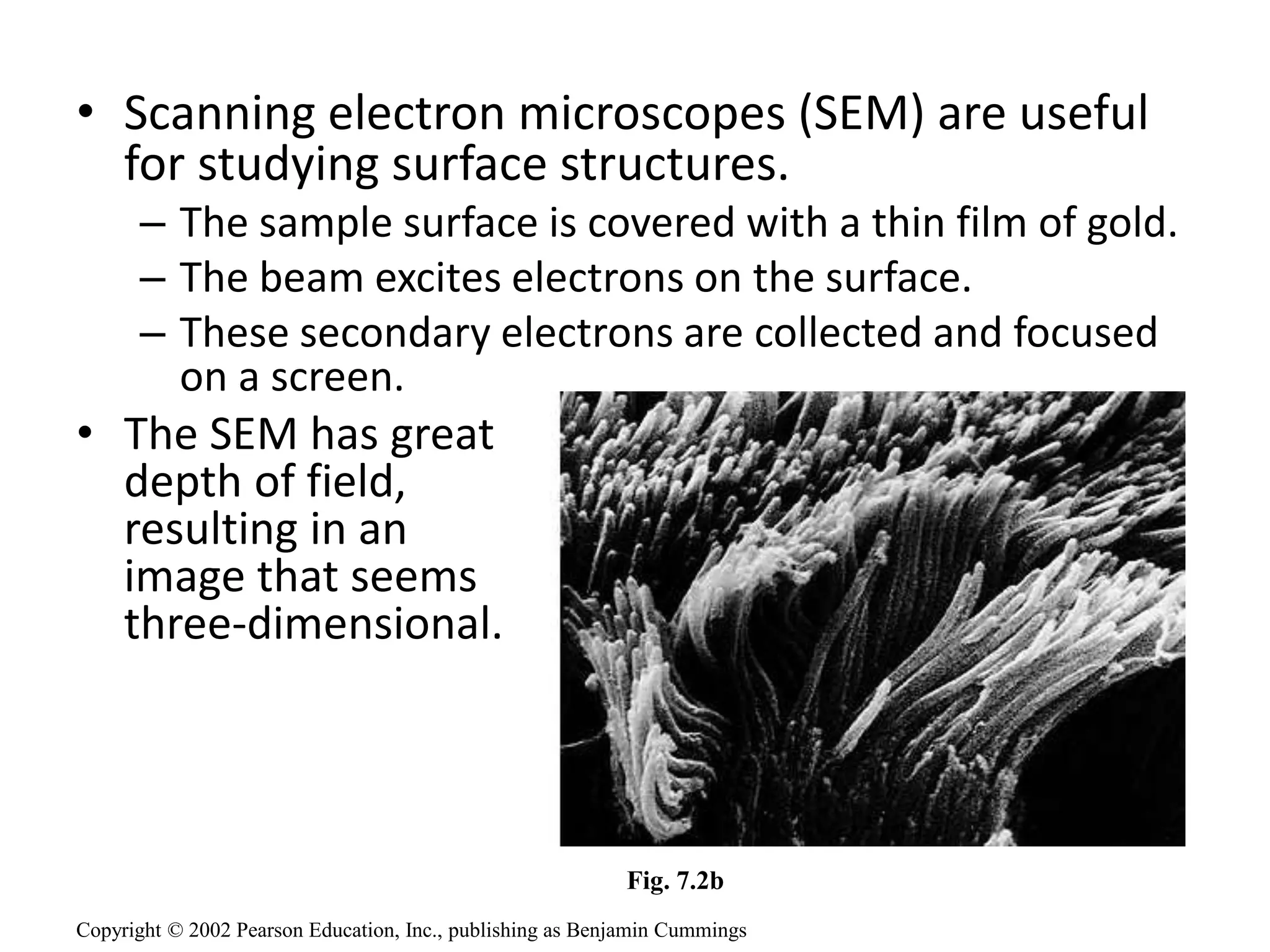 Cellular biochemistry | PPTX