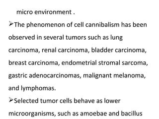 Cellular cannibalism ,Apoptosis and Autoimmunity | PPT