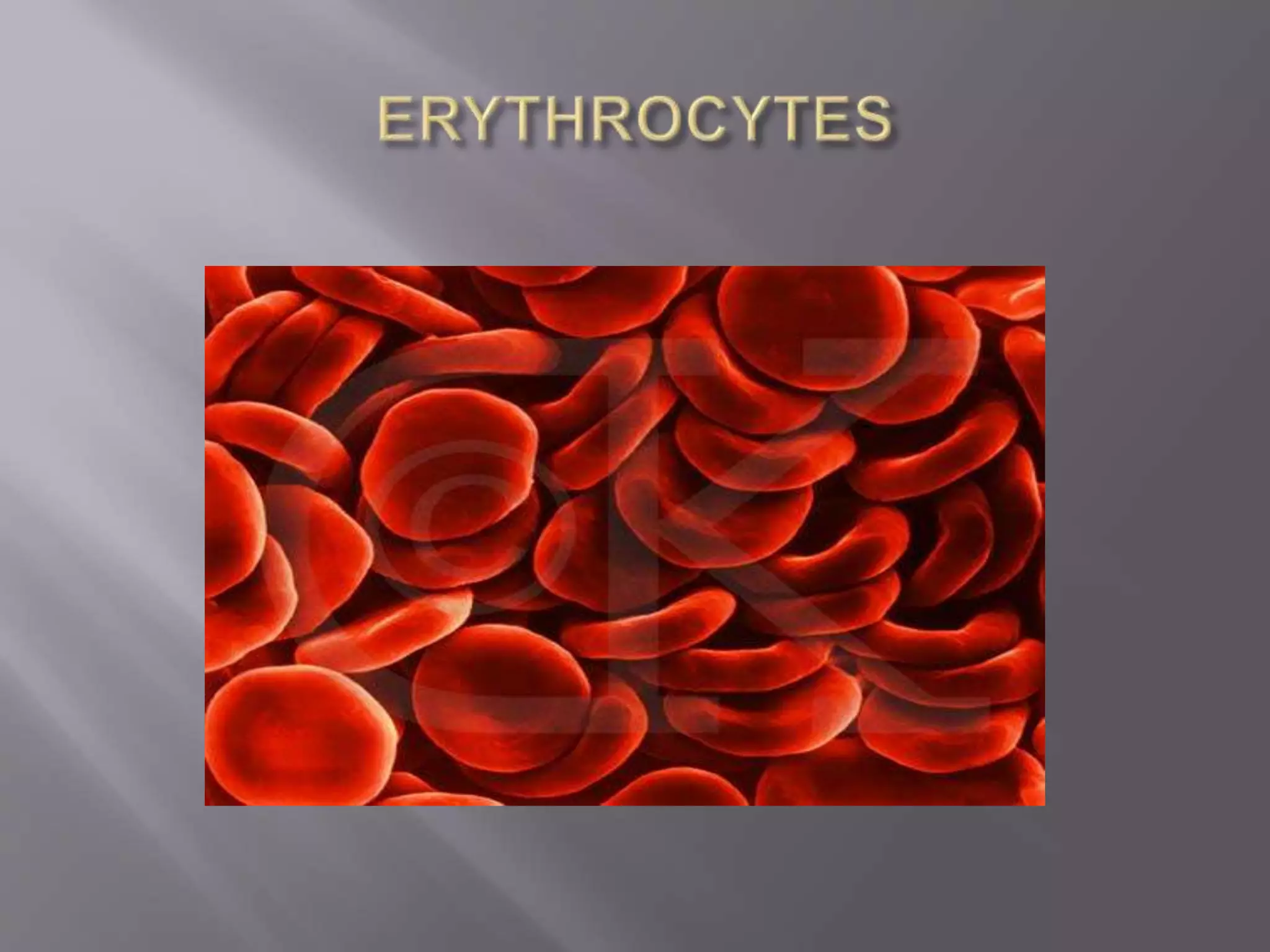 Cellular carriers ppt | PPTX