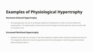 Anatomy of CELLULAR CHANGES AND ADAPTATIONS.ppt