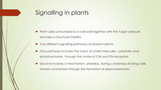 Cellular communication in multicellular organisms | PPTX