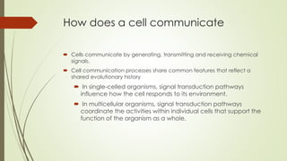 Cellular communication in multicellular organisms | PPTX