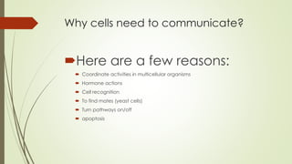 Cellular communication in multicellular organisms | PPTX