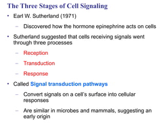Cellular Communication lecture for the school of nursing | PPT