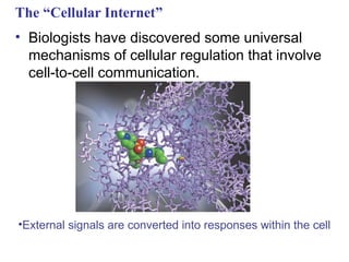 Cellular Communication lecture for the school of nursing | PPT