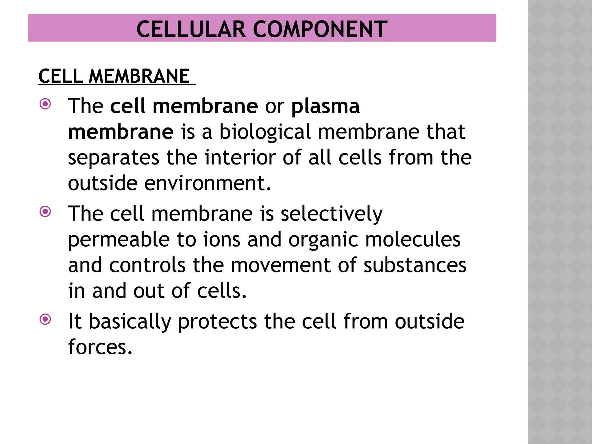 CELLULAR COMPONENT.ldkdkddldldldldldldlddl | PPTX