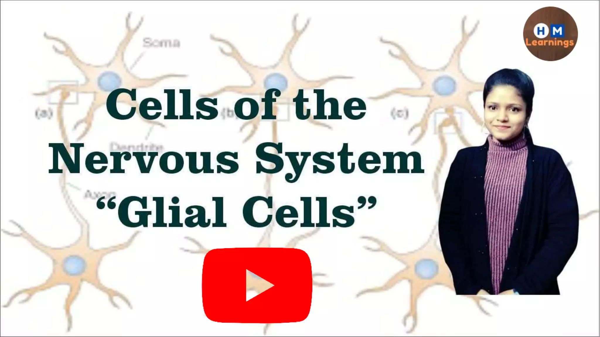 Cells of the Nervous System- Glial cells I Macroglia and Microglia I ...