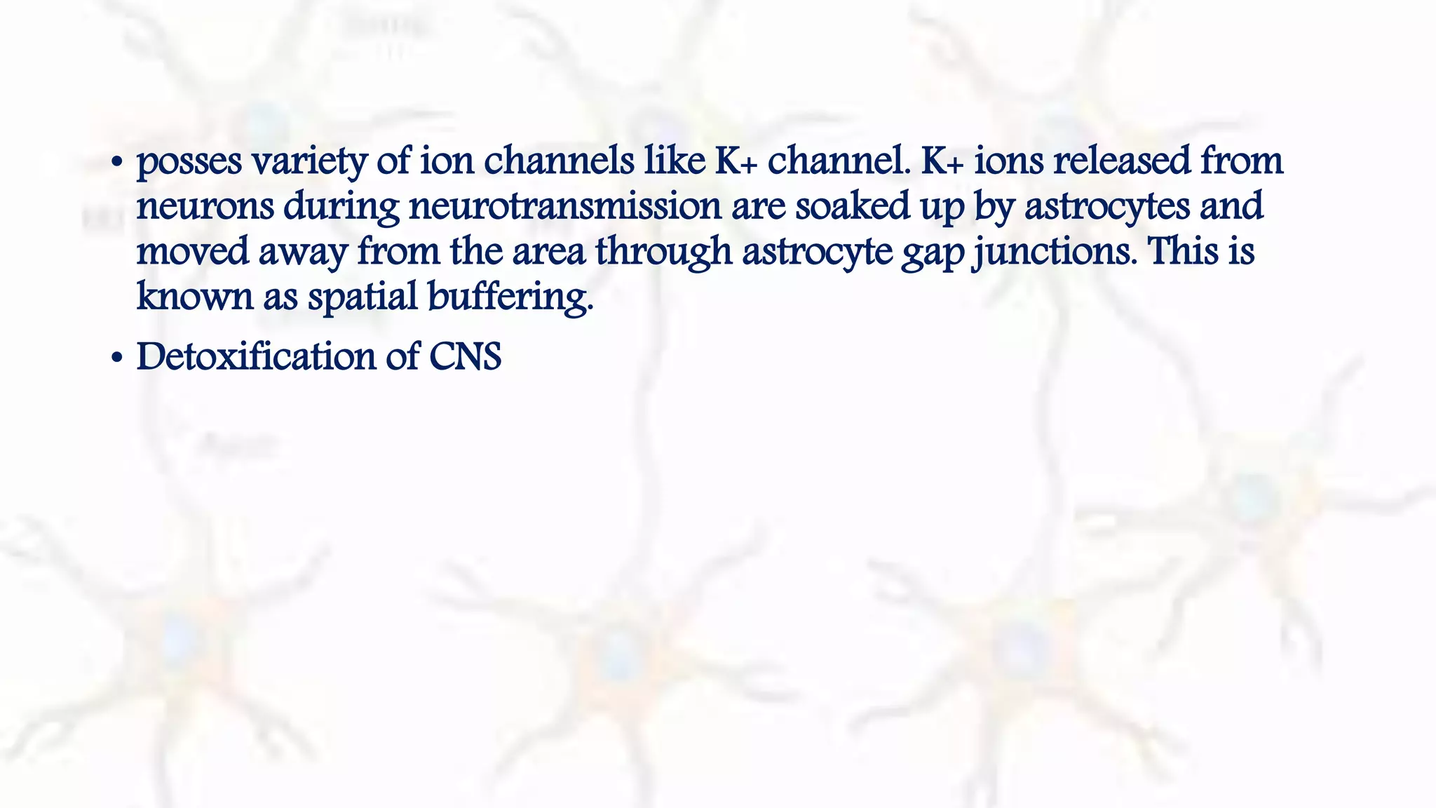 Cells of the Nervous System- Glial cells I Macroglia and Microglia I ...