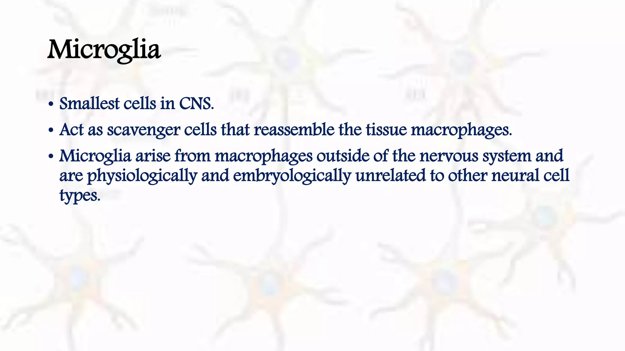 Cells of the Nervous System- Glial cells I Macroglia and Microglia I Nervous System Physiology I ...