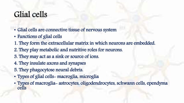 Cells of the Nervous System- Glial cells I Macroglia and Microglia I ...