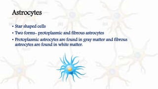 Cells of the Nervous System- Glial cells I Macroglia and Microglia I ...