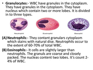 Cellular compound of blood from vivek ku | PPT