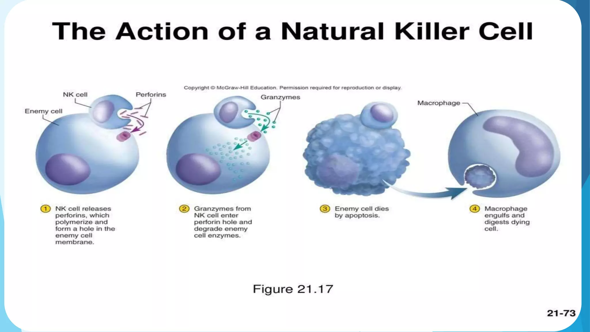 Cellular defences | PPTX