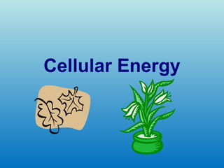 Cellular Energy: How Photosynthesis Converts Light to Chemical Energy | PPT