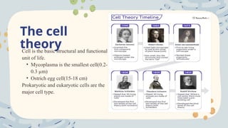 Cellular foundations of life 2025.pp jjwjwt | PPT