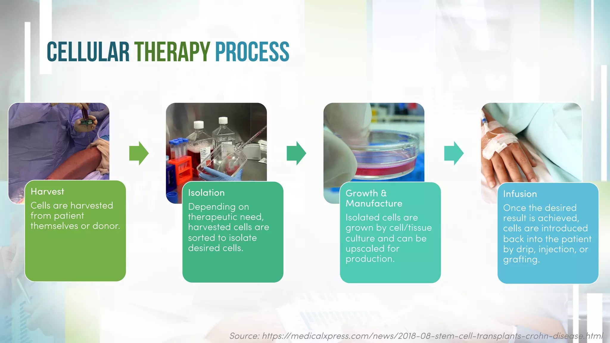 Cellular & Gene Therapy | PDF