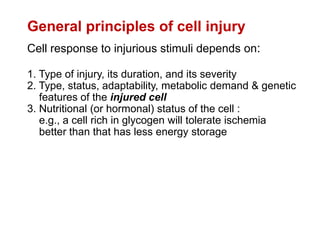 Cellular injury - intoductory pathology to disease | PPT