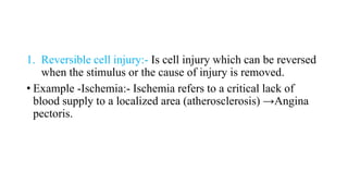 cellular injury.pptx