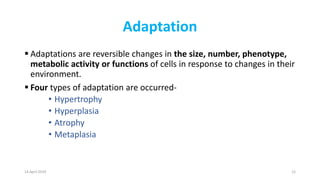 Cellular injury and adaptation | PPTX