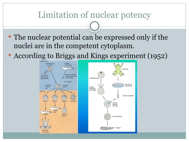 Induction and cellular interaction.pptx for graduate students | PPT