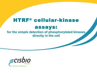 Cellular kinases akt(thr308) april2011 | PPT