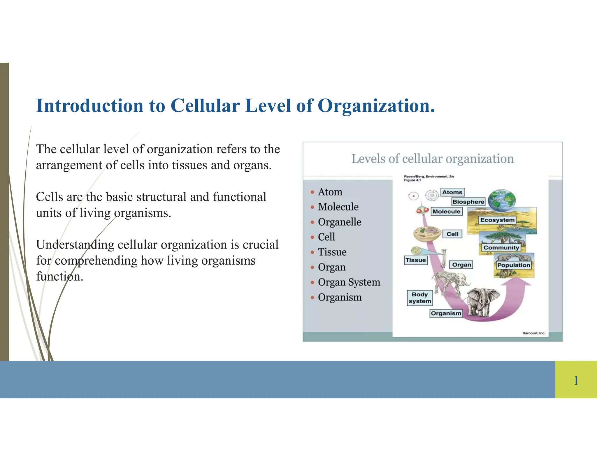 study of cellular level of organization. | PDF