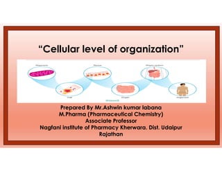 study of cellular level of organization. | PDF