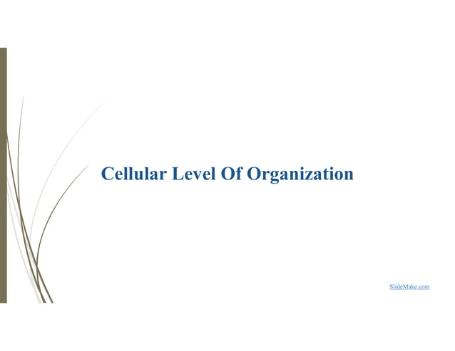 study of cellular level of organization. | PDF | Biological Sciences ...